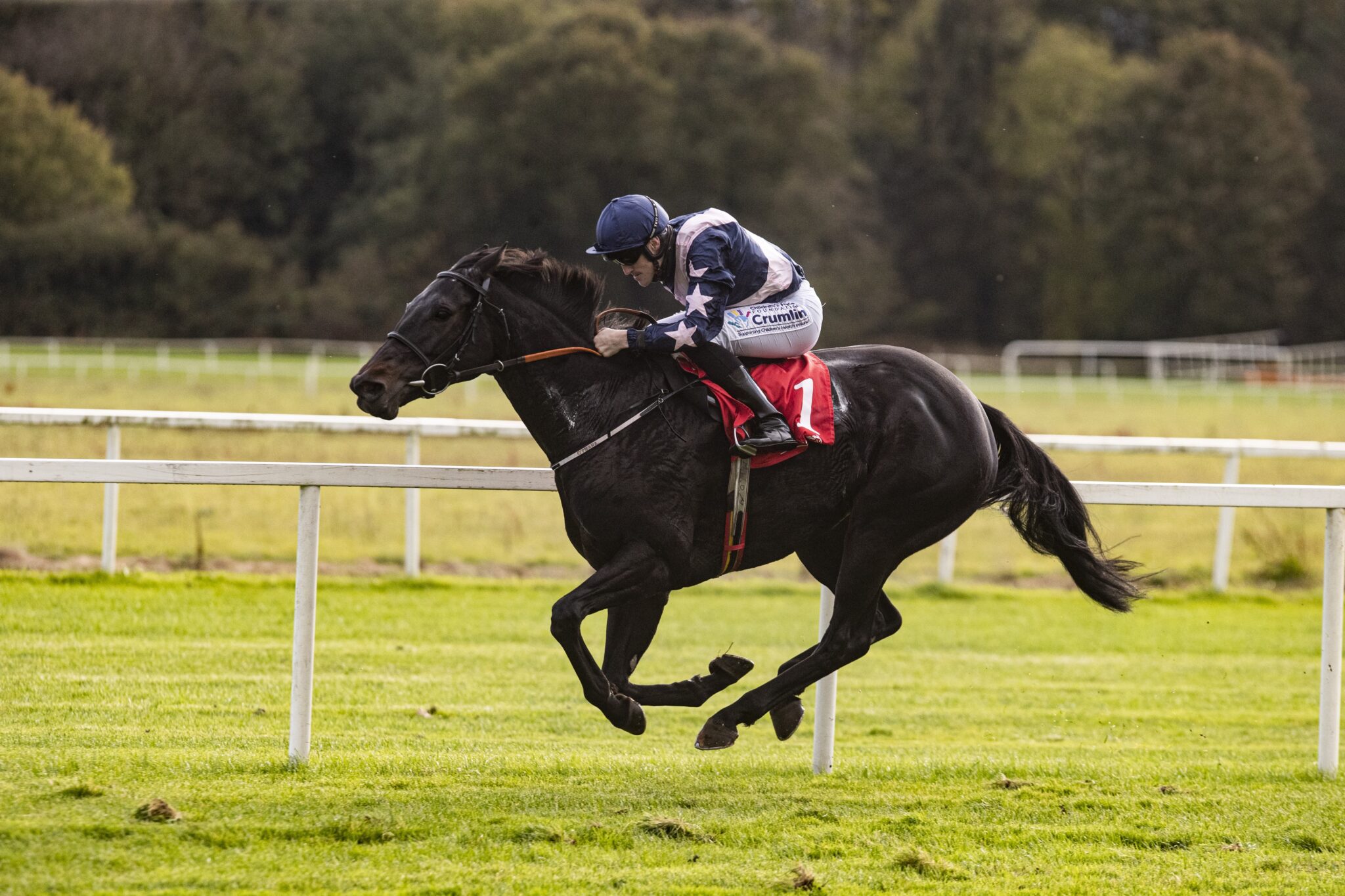 50 Up as Billy Lee reaches season milestone: Weekly Racing News ...