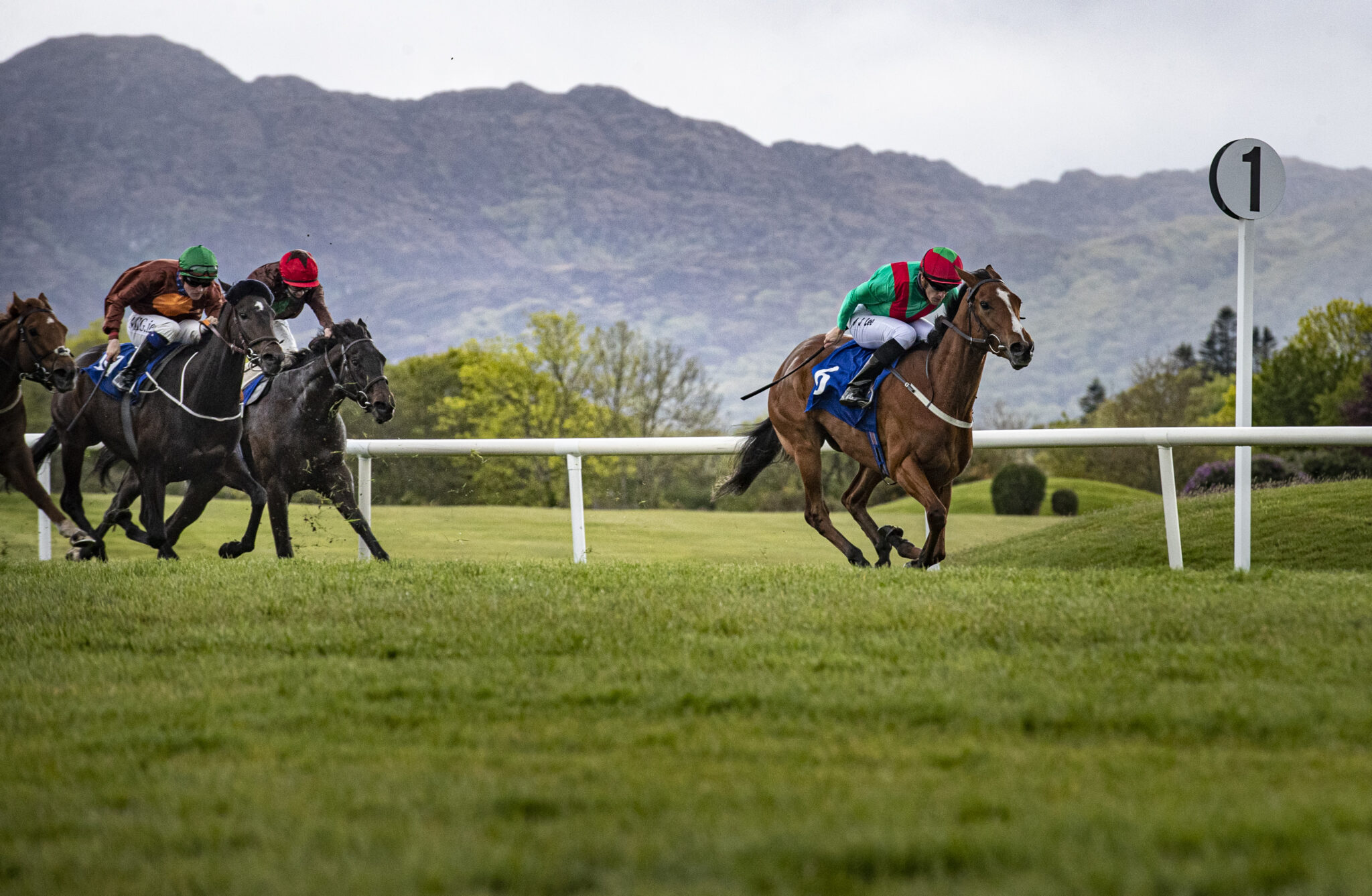 Billy Lee edges closer to 50-winner mark | Weekly Racing News ...