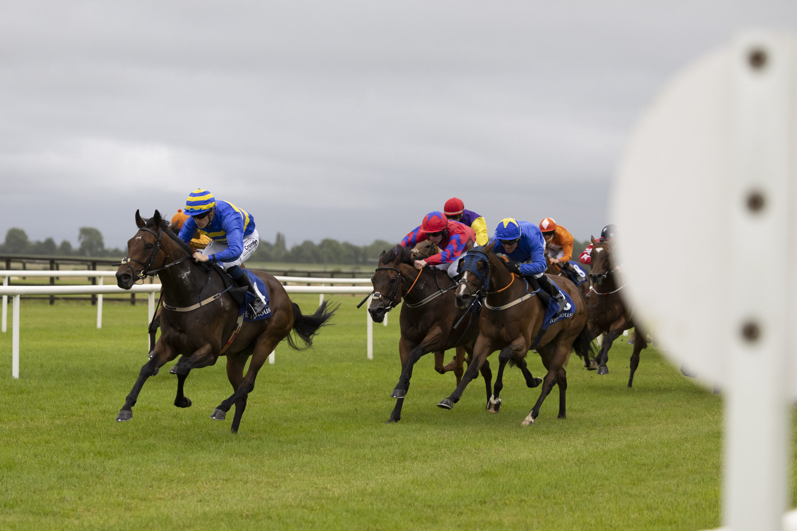 Double delight for the Lee's as Billy and Jennifer both pick up wins ...